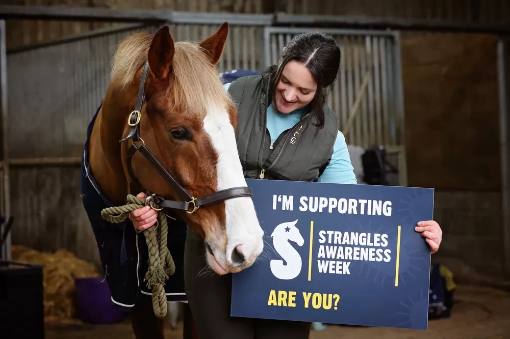 Become an Ambassador for Strangles Awareness Week! | Redwings Horse Sanctuary